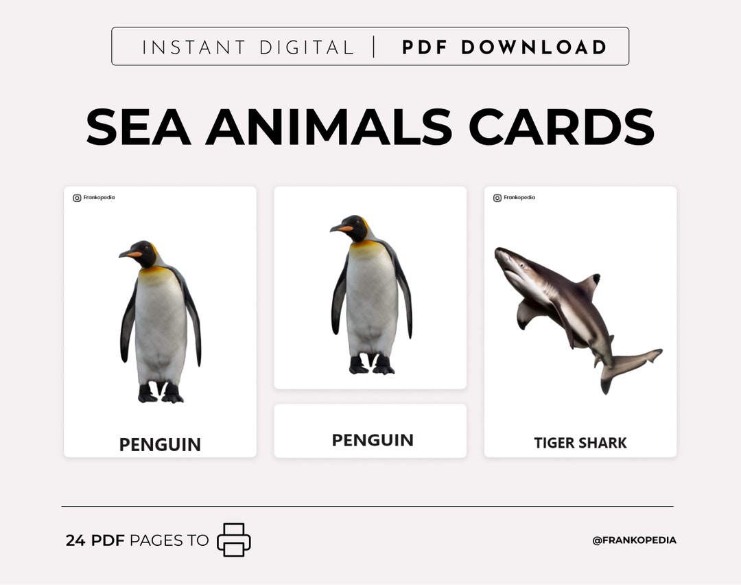 Sea Animals Cards Printable Montessori Ocean Animals Activity ...