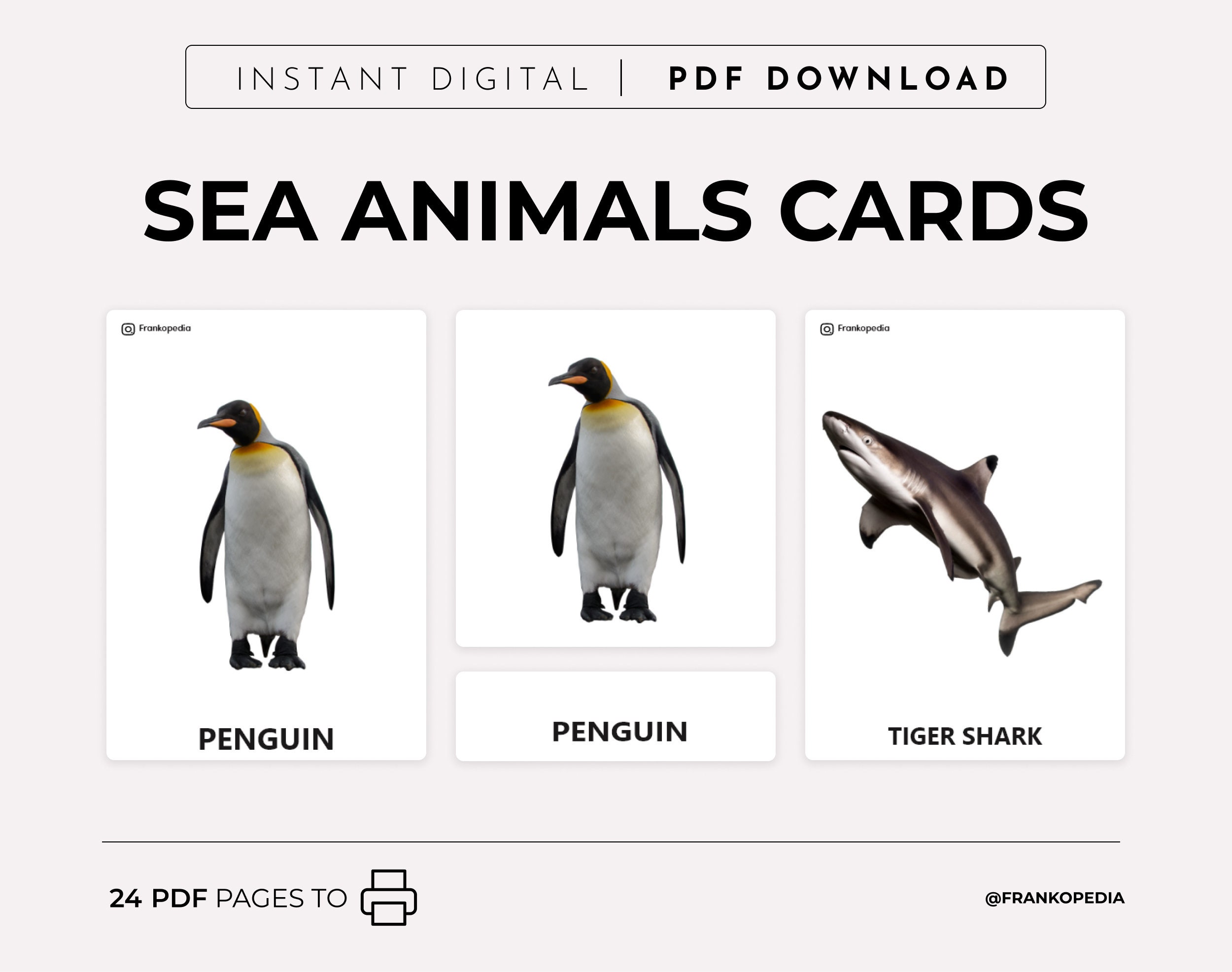 Sea Animals Cards Printable Montessori Ocean Animals Activity - Etsy UK