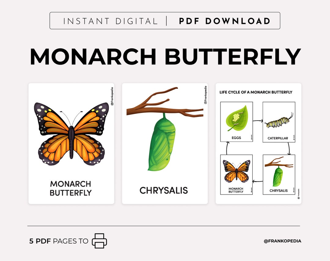 Life Cycle of a Monarch Butterfly Montessori Cards Preschool - Etsy