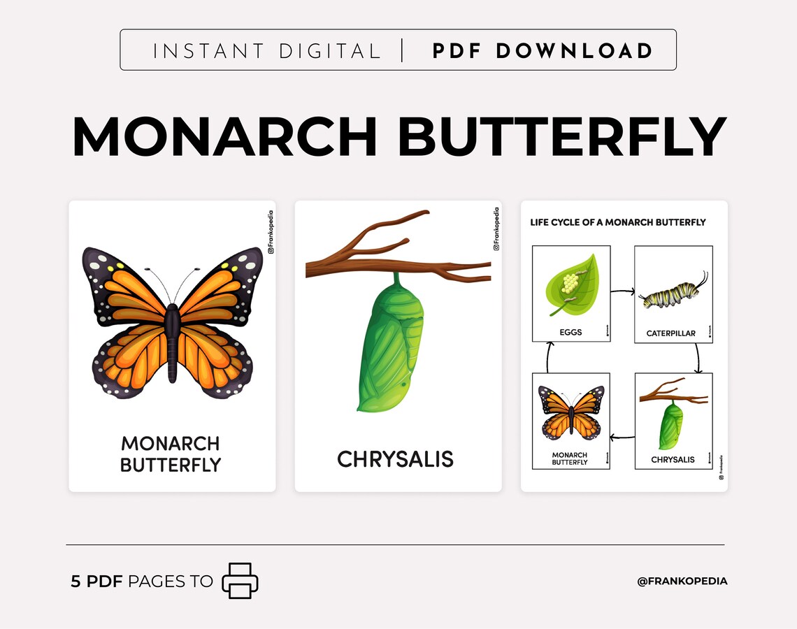 Life Cycle of a Monarch Butterfly Montessori Cards Preschool - Etsy UK