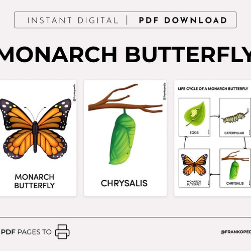 Monarch Butterfly Life Cycle Unit Study Nature Homeschool - Etsy UK