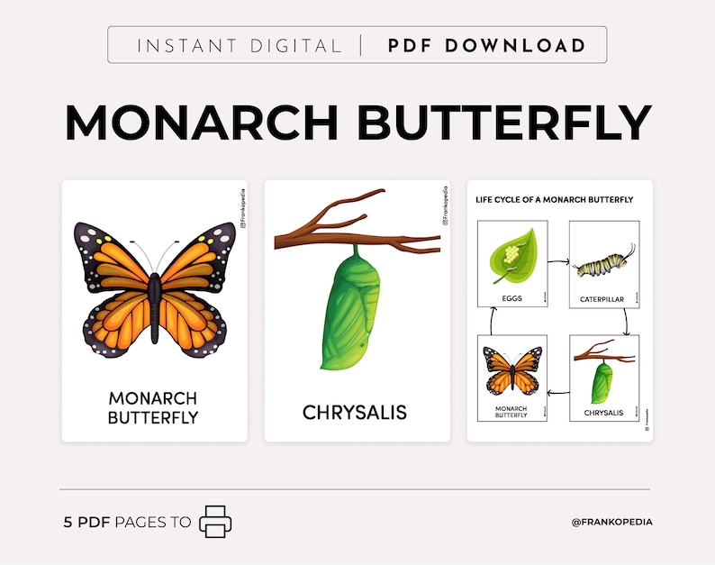 Life Cycle of a Monarch Butterfly Montessori Cards Preschool - Etsy UK