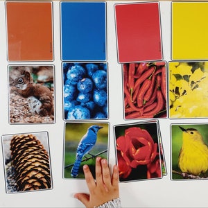 Colour Matching * Colours in Nature * Colour Learning * Montessori ...