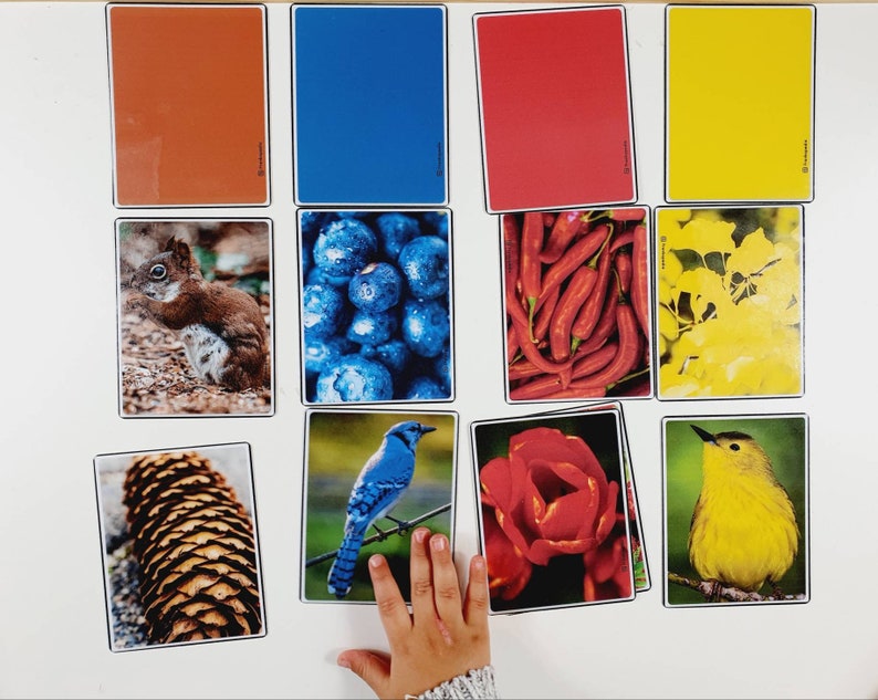 Colour Matching Colours in Nature Colour Learning - Etsy UK