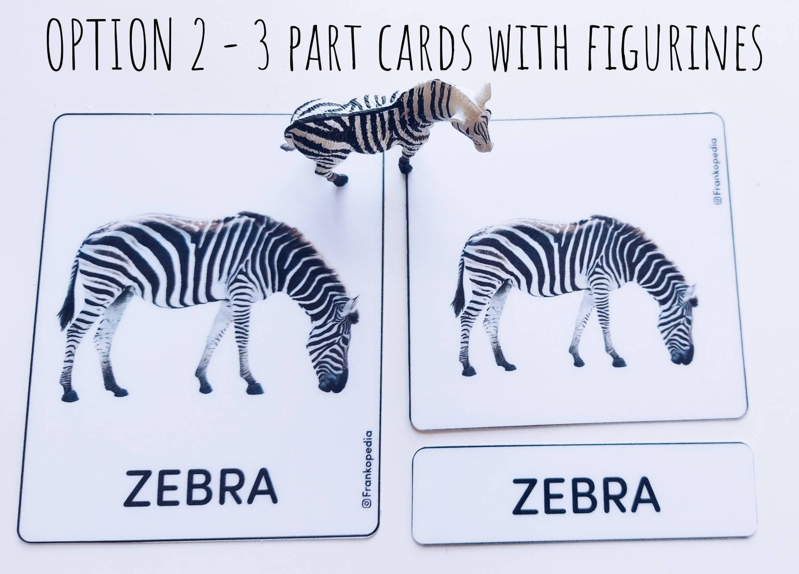 Wild Animals Montessori 3 Part Cards With Figurines Matching | Etsy