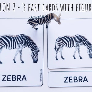Wild Animals Montessori 3 Part Cards With Figurines Matching | Etsy