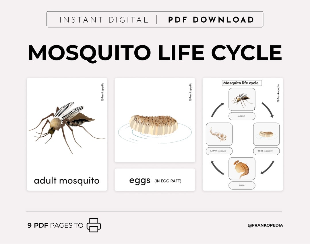 Life Cycle of a Mosquito Printable Homeschool Montessori Materials ...