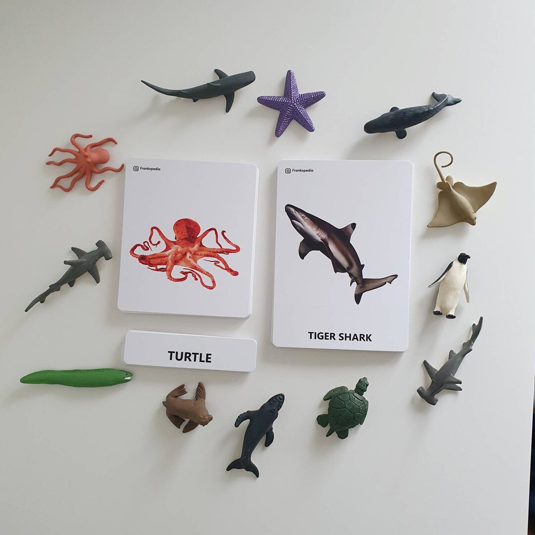 Sea Animals Cards Montessori Ocean Animals Activity Montessori Cards ...