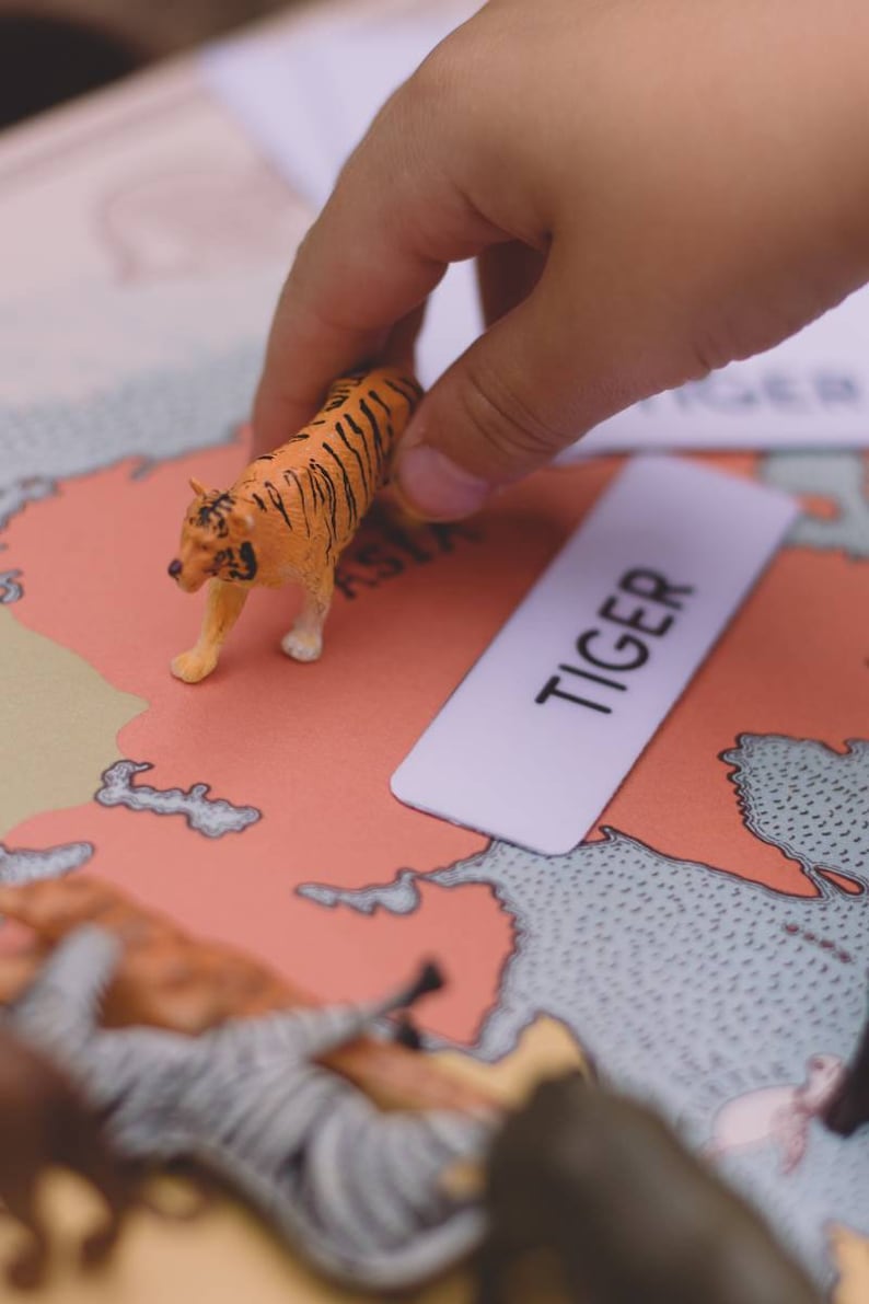 Wild Animals Montessori 3 Part Cards Digital PDF Printable - Etsy UK