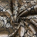 Beautiful Vintage Floral Brocade 44 Wide. Best Used for Home Decor and ...