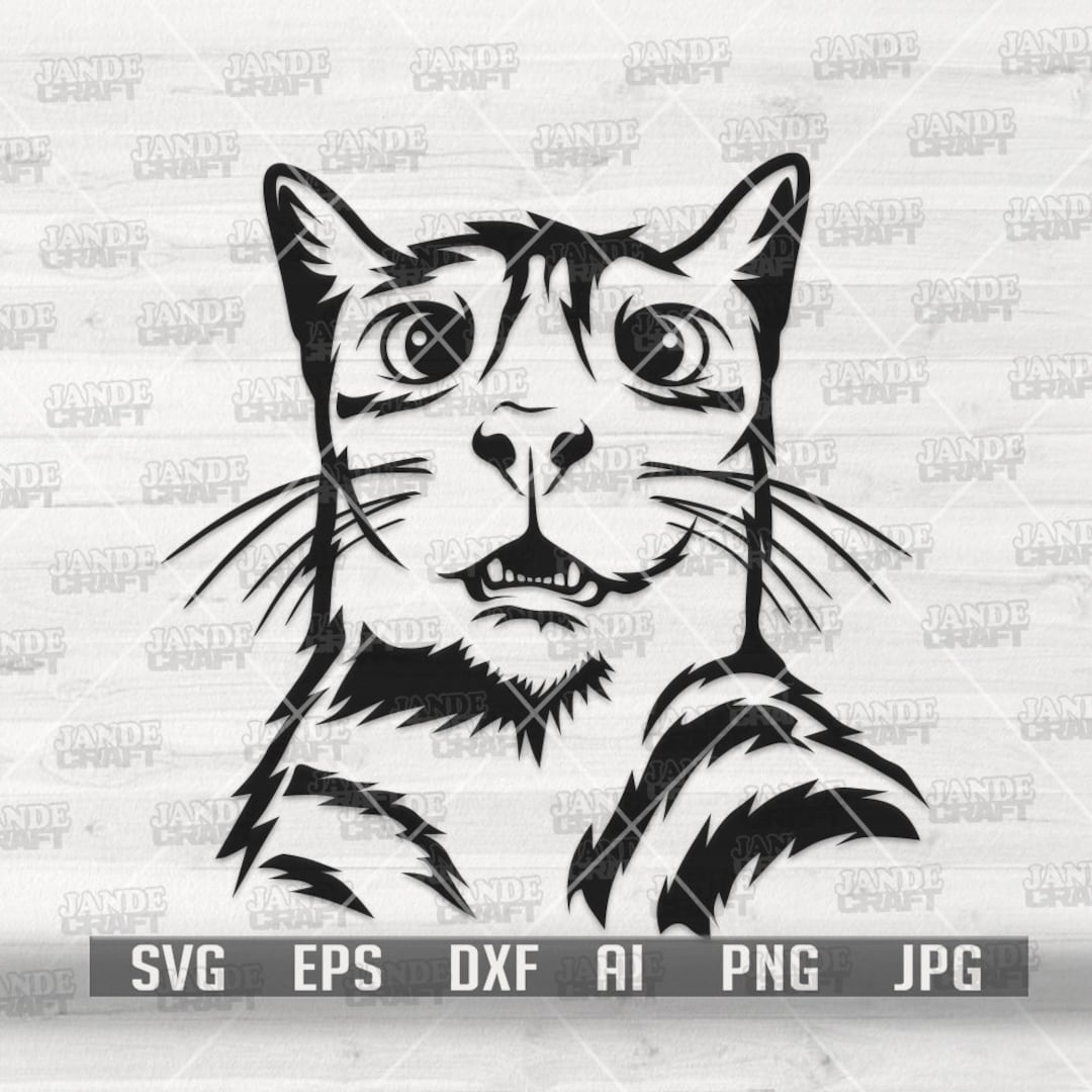 Funny Cat Shocked Face Svg | Trash Animal Clipart | Street Kitten ...