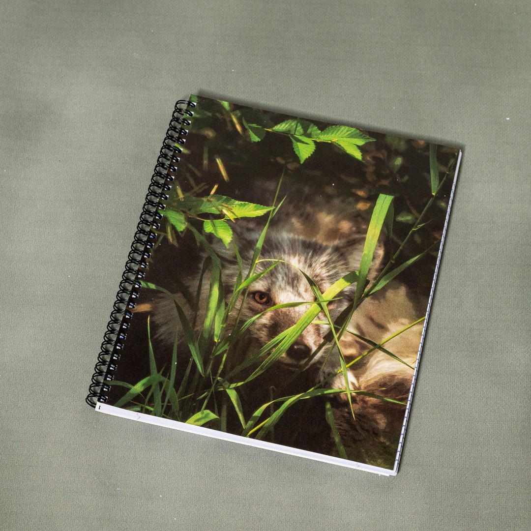Journal, Arctic Fox Wildlife, Blank Spiral 8.5x11 Notebook - Etsy