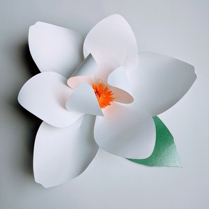 Magnolia Flower Template Digital Flower Templates DIY Paper - Etsy