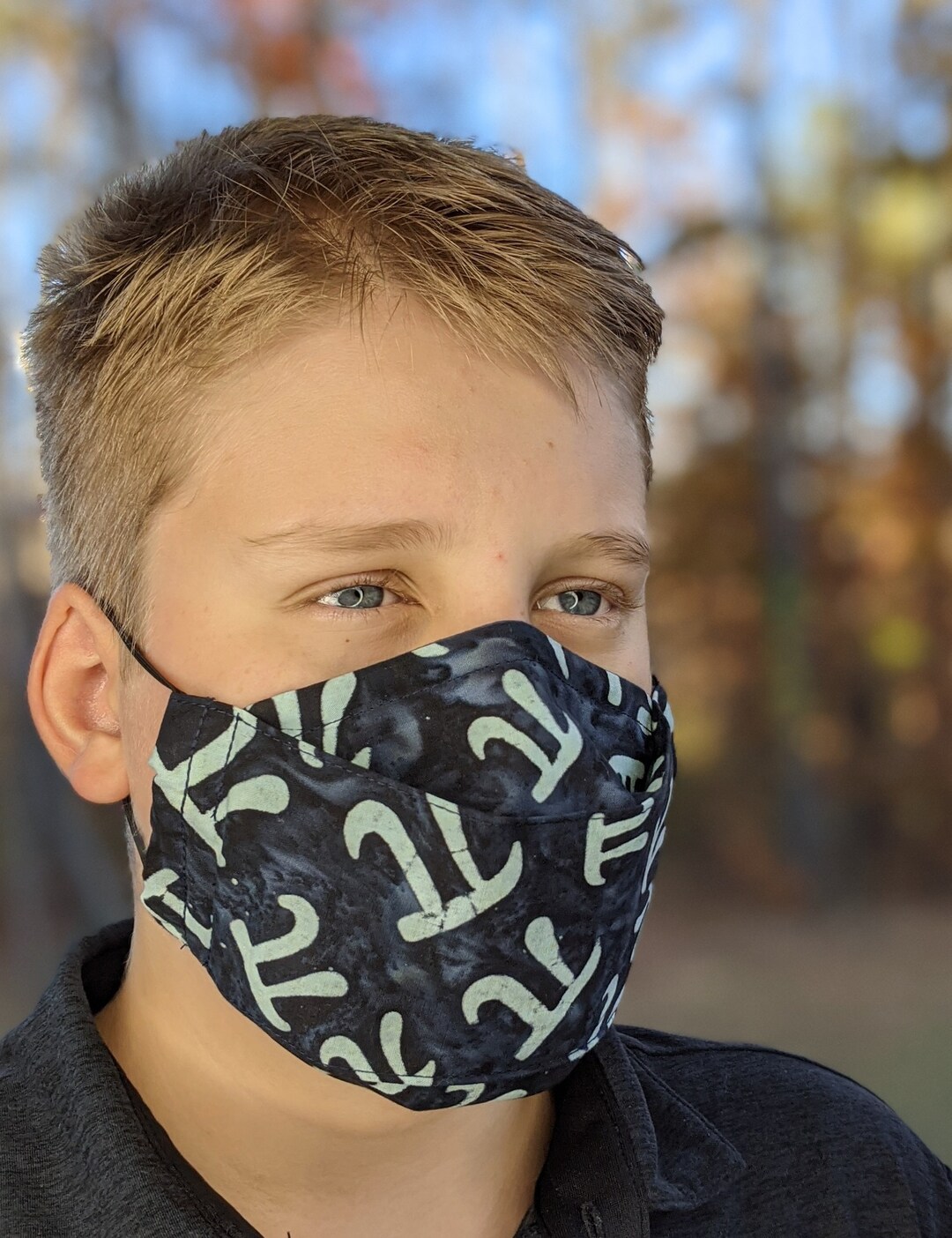 PI Math Face Mask, Speaking 3D Covering, Origami 3 Layer, Nose Wire ...