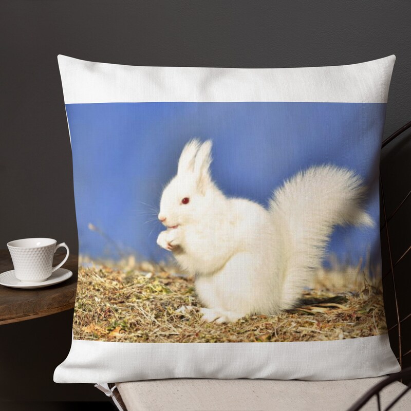 Squirrel Pillow - Etsy