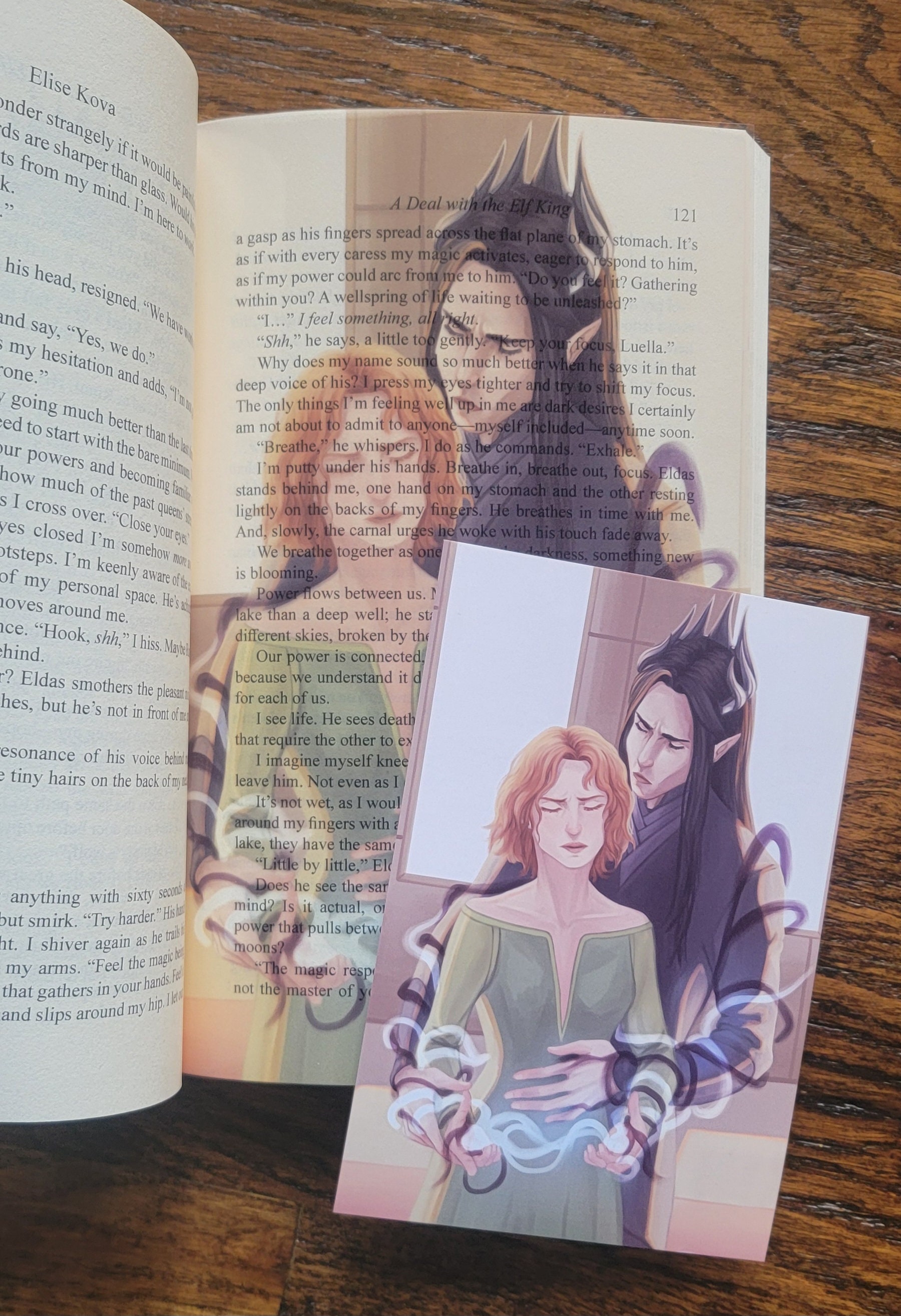A Deal With the Elf King Eldas and Luella Print Book Overlay ...