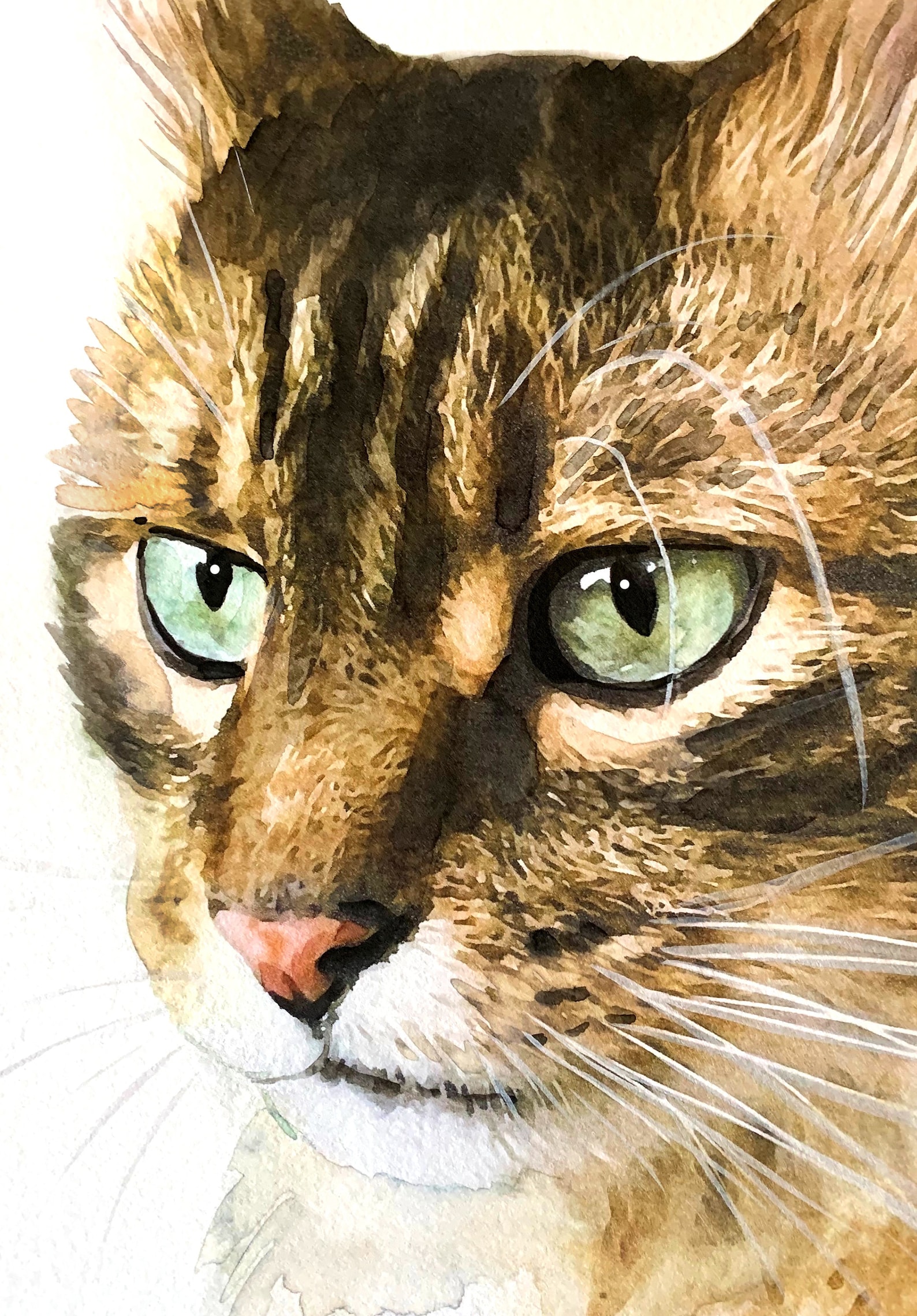 Custom CAT Portrait Custom Cat Painting Pet Portrait - Etsy