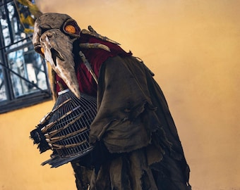 Bird Grim Reaper - Etsy
