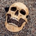Human Skull Mask Full Face Realistic Movable Jaw Halloween Custom ...