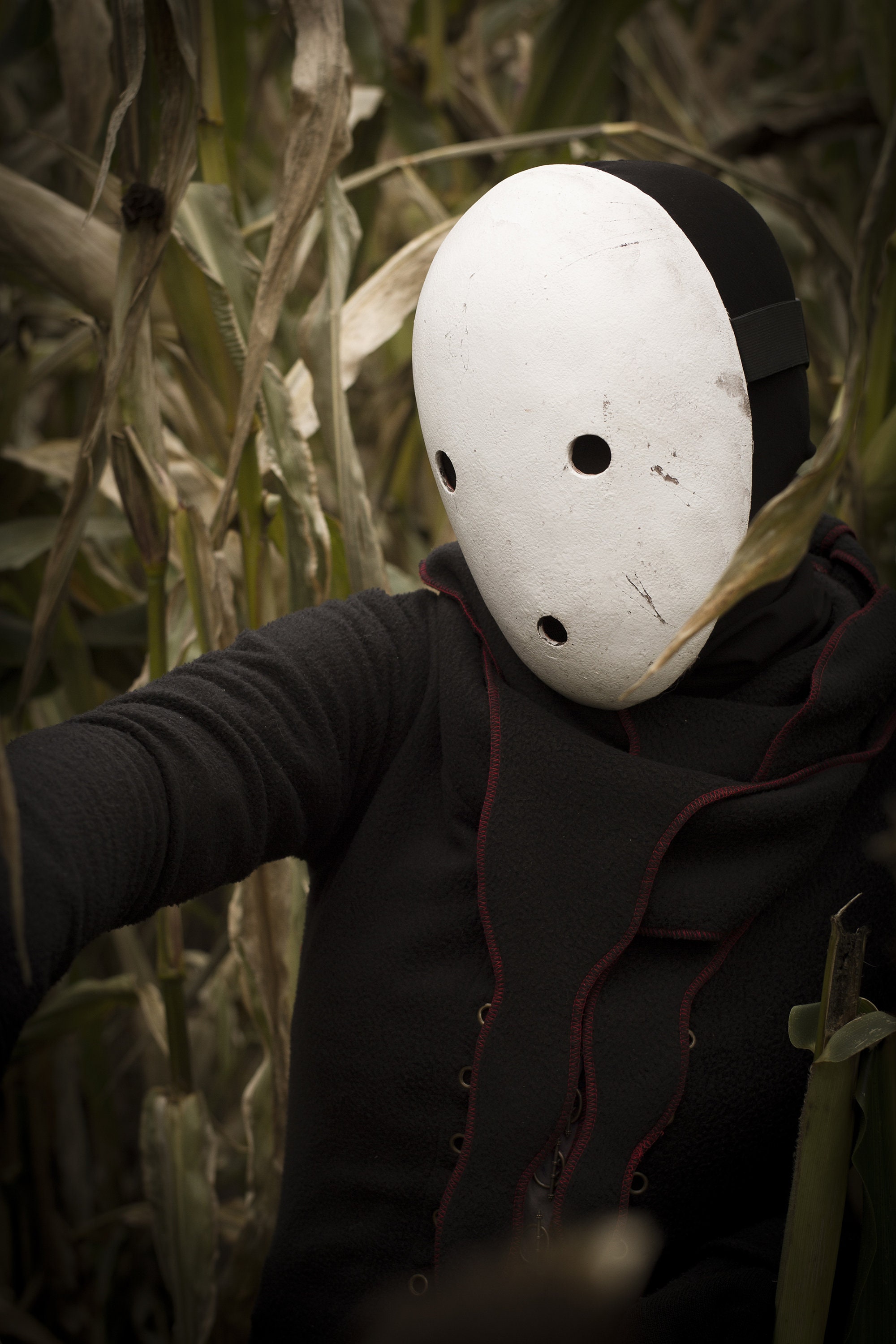 Pathologic 2 Full Face Mask Tragedian Kodama Princess Mononoke | Etsy