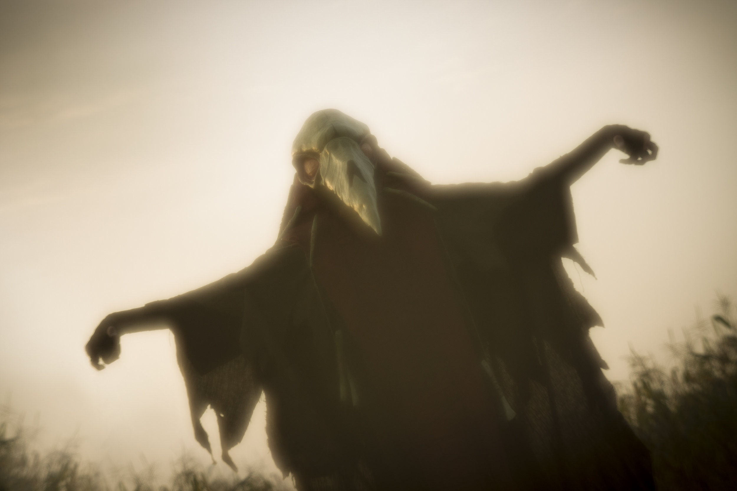 Halloween Grim Reaper Plague Doctor Costume Mask Pathologic 2 - Etsy