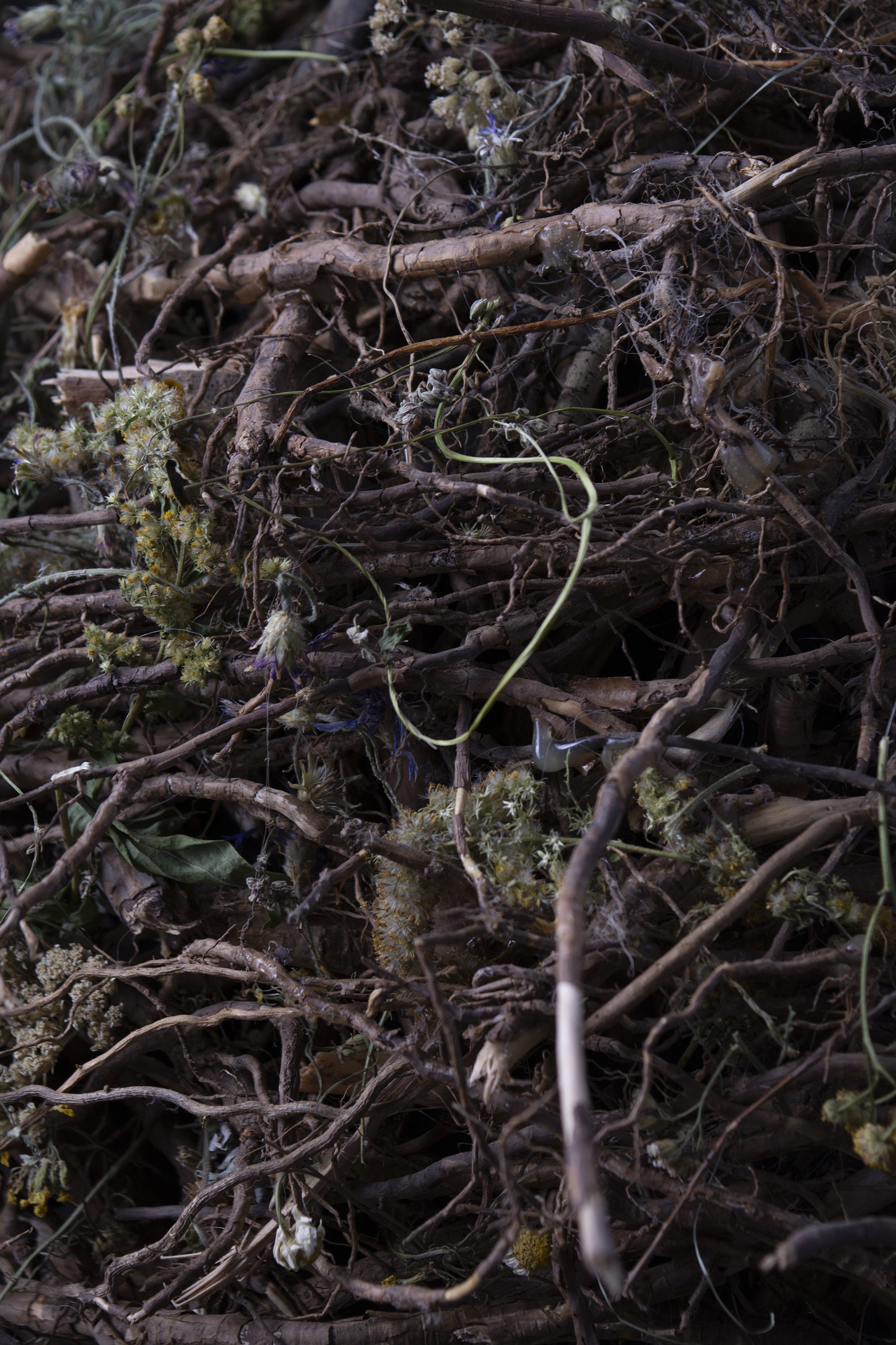 Branches Full Face Mask Headdress Tree Spirit Occult Costume - Etsy