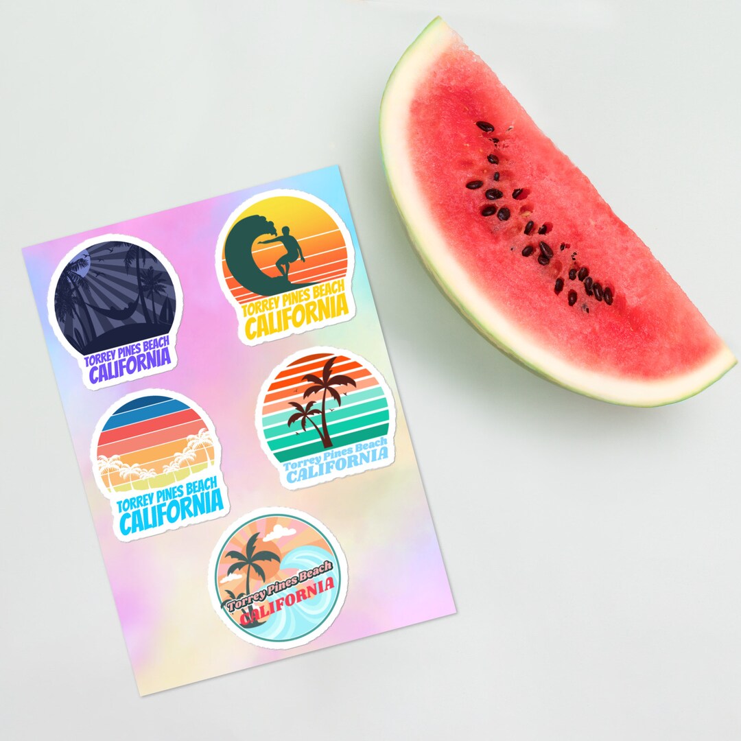 Torrey Pines Beach CALIFORNIA Surfer Tropical Sea Vacation Beach ...