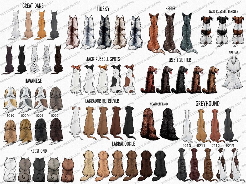 Bundle Dog Breeds Clipart, Dog Png, Dog Clipart, Pet Portrait, Back of ...