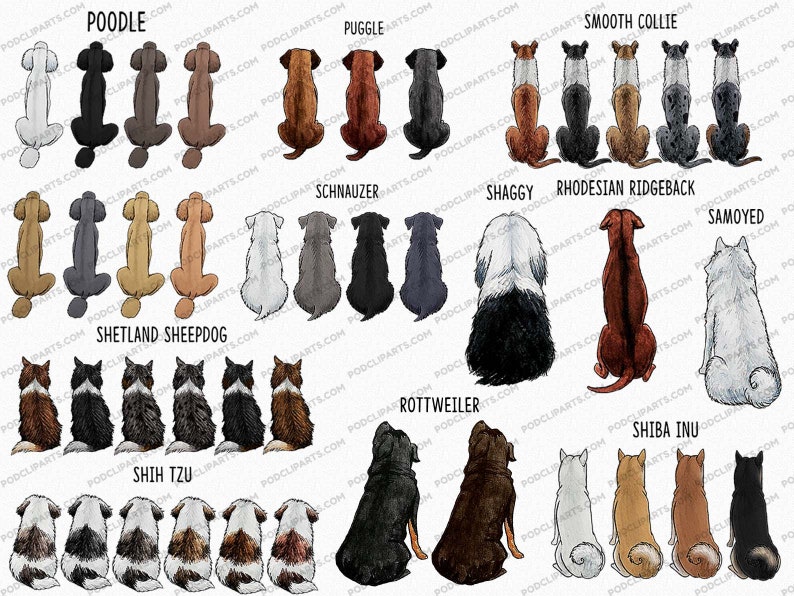 Bundle Dog Breeds Clipart Dog Png Dog Clipart Pet Portrait - Etsy