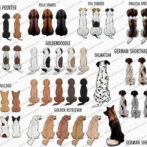 Bundle Dog Breeds Clipart Dog Png Dog Clipart Pet Portrait - Etsy
