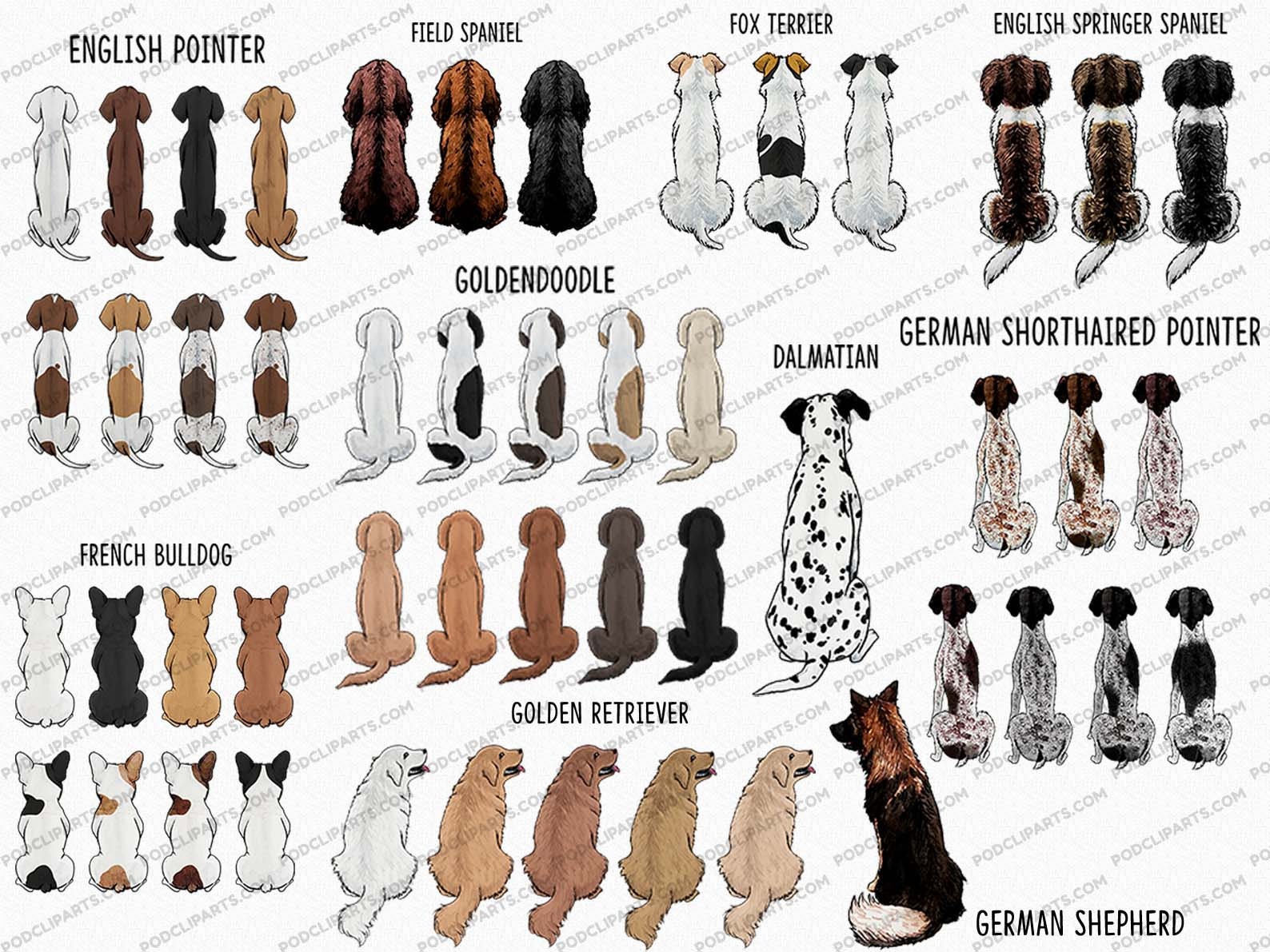 Bundle Dog Breeds Clipart Dog Png Dog Clipart Pet Portrait - Etsy UK