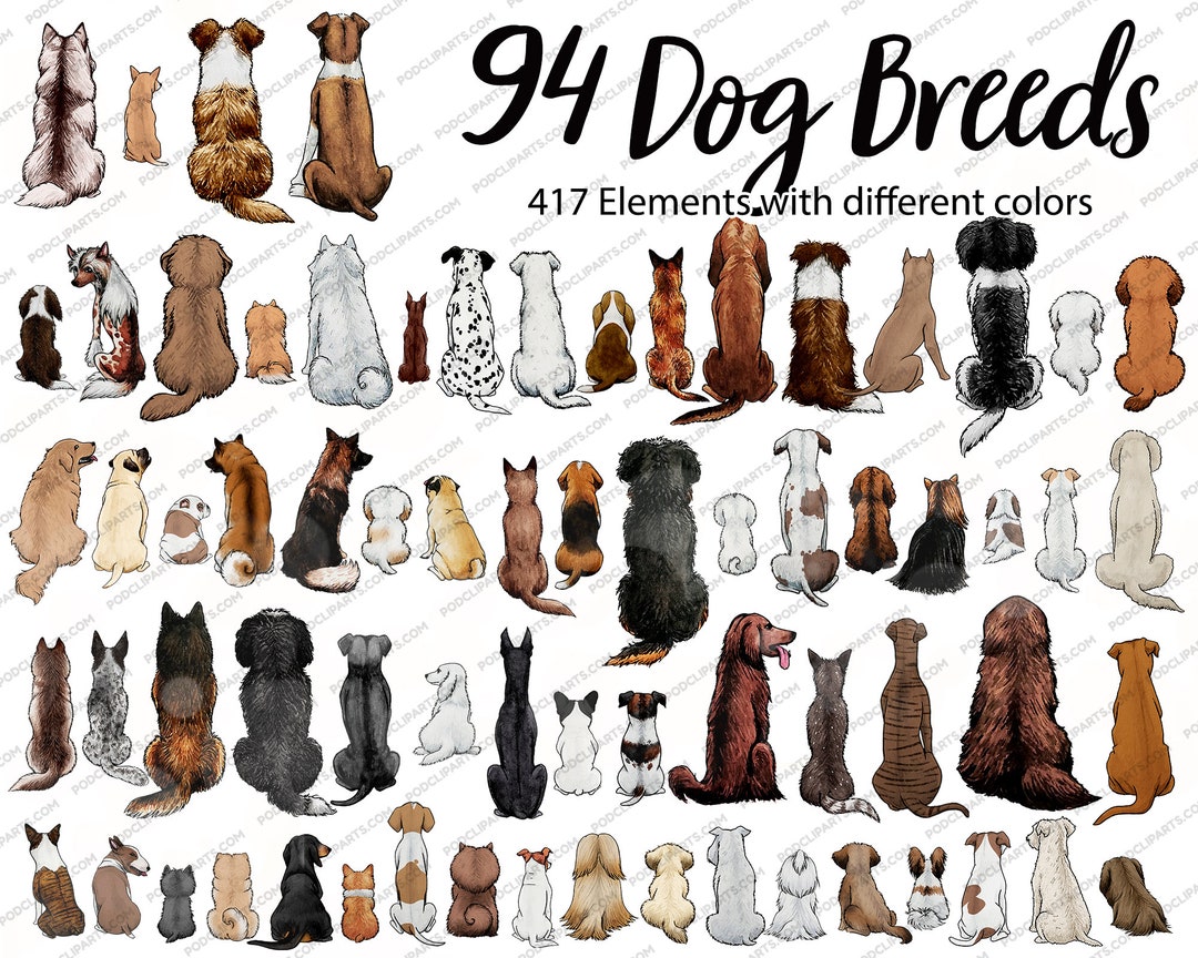 Bundle Dog Breeds Clipart, Dog Png, Dog Clipart, Pet Portrait, Back of ...