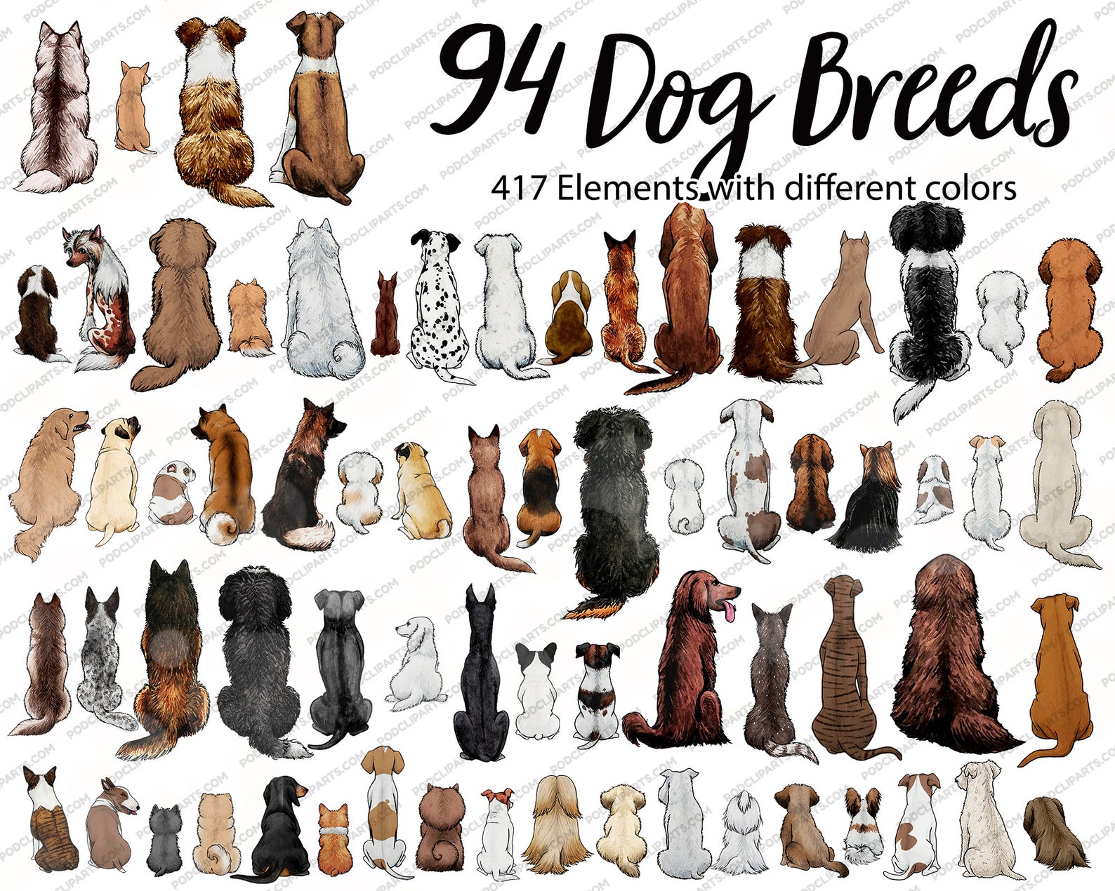 Bundle Dog Breeds Clipart, Dog Png, Dog Clipart, Pet Portrait, Backof ...