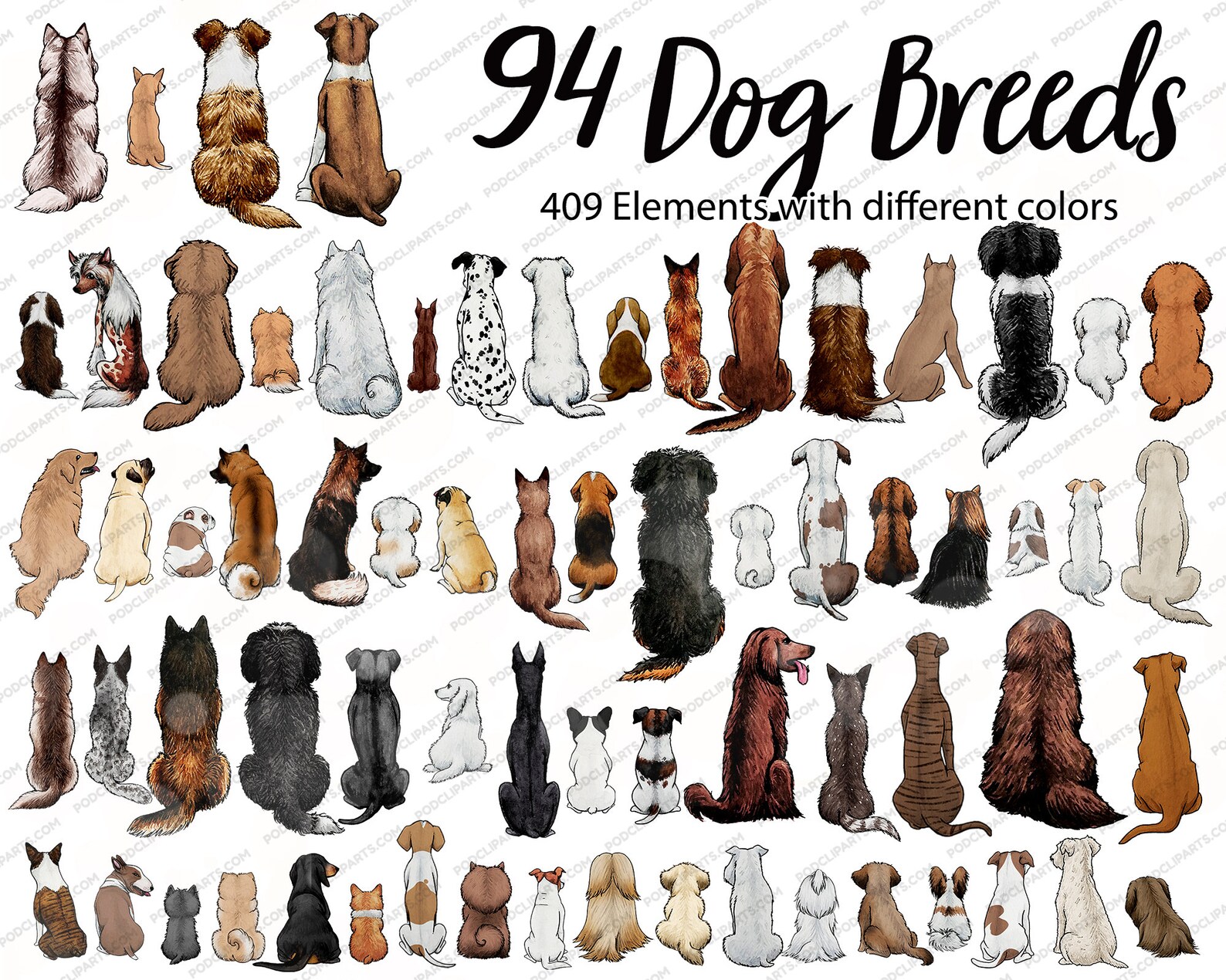 Bundle Dog Breeds Clipart Dog Png Dog Clipart Pet Portrait - Etsy
