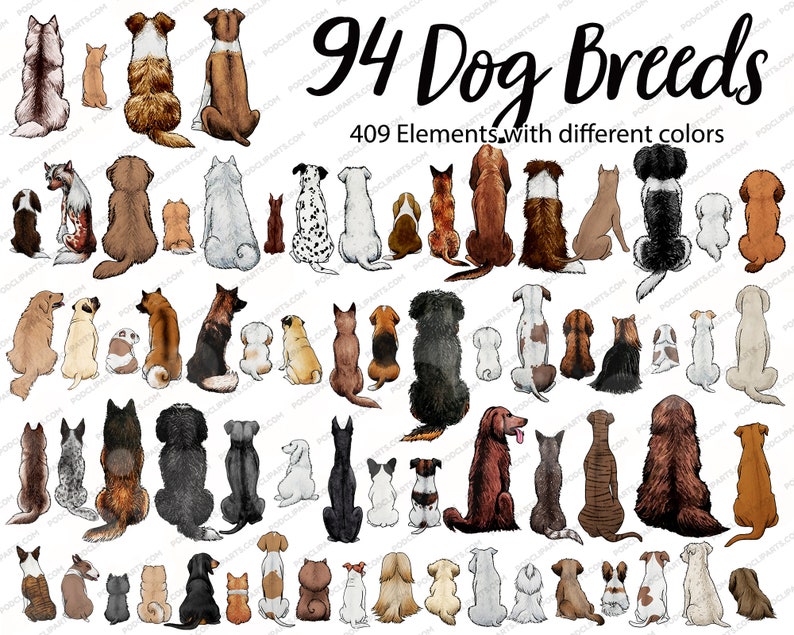 Bundle Dog Breeds Clipart Dog Png Dog Clipart Pet Portrait - Etsy