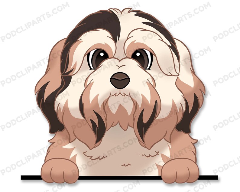 Havanese Dog Clipart Peekaboo Dog Cartoon Pet Portrait Pet - Etsy