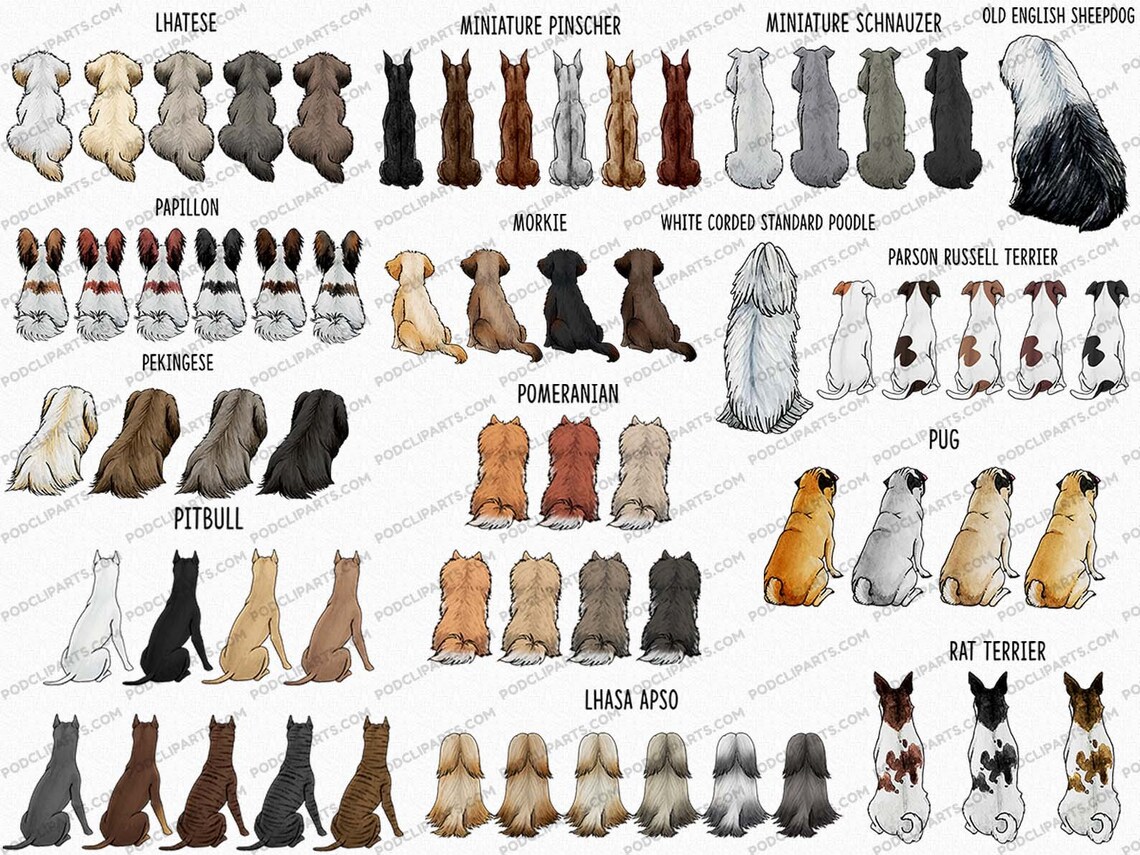Dogs Back View Watercolor Dogs Clipart Dog Breeds Clipart - Etsy