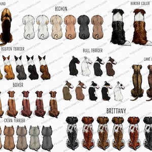 Bundle Dog Breeds Clipart, Dog Png, Dog Clipart, Pet Portrait, Back of ...