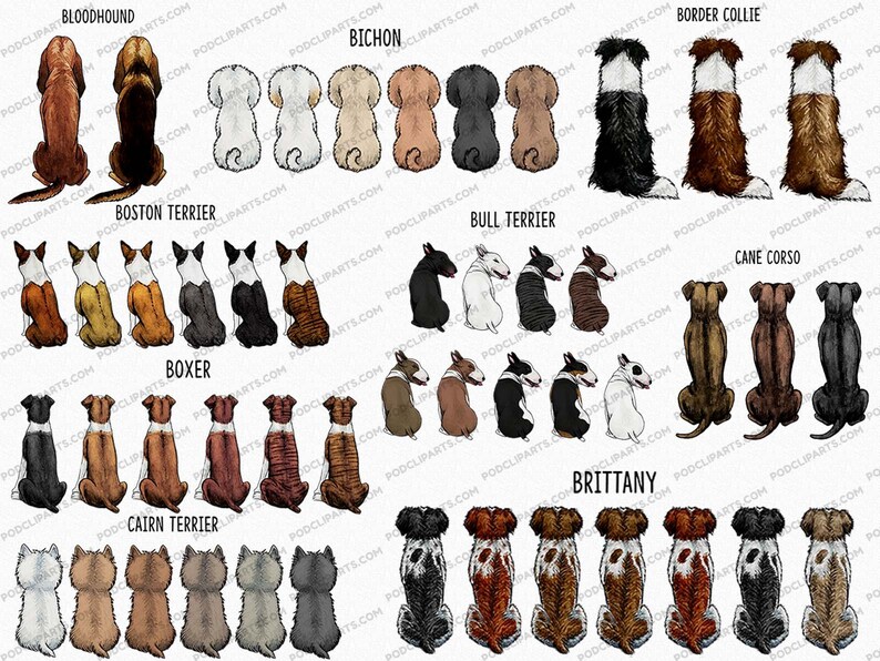 Bundle Dog Breeds Clipart Dog Png Dog Clipart Pet Portrait - Etsy