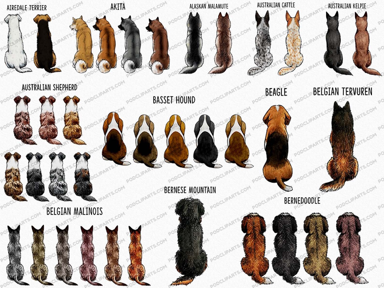 Bundle Dog Breeds Clipart, Dog Png, Dog Clipart, Pet Portrait, Backof ...