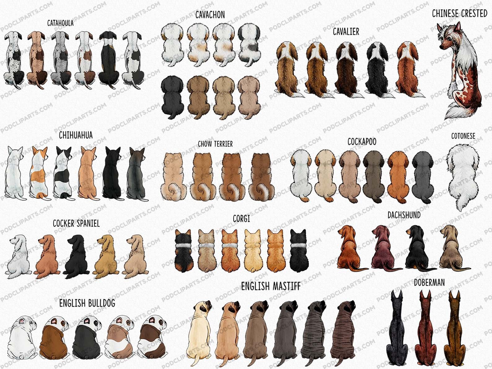 Bundle Dog Breeds Clipart Dog Png Dog Clipart Pet Portrait - Etsy UK