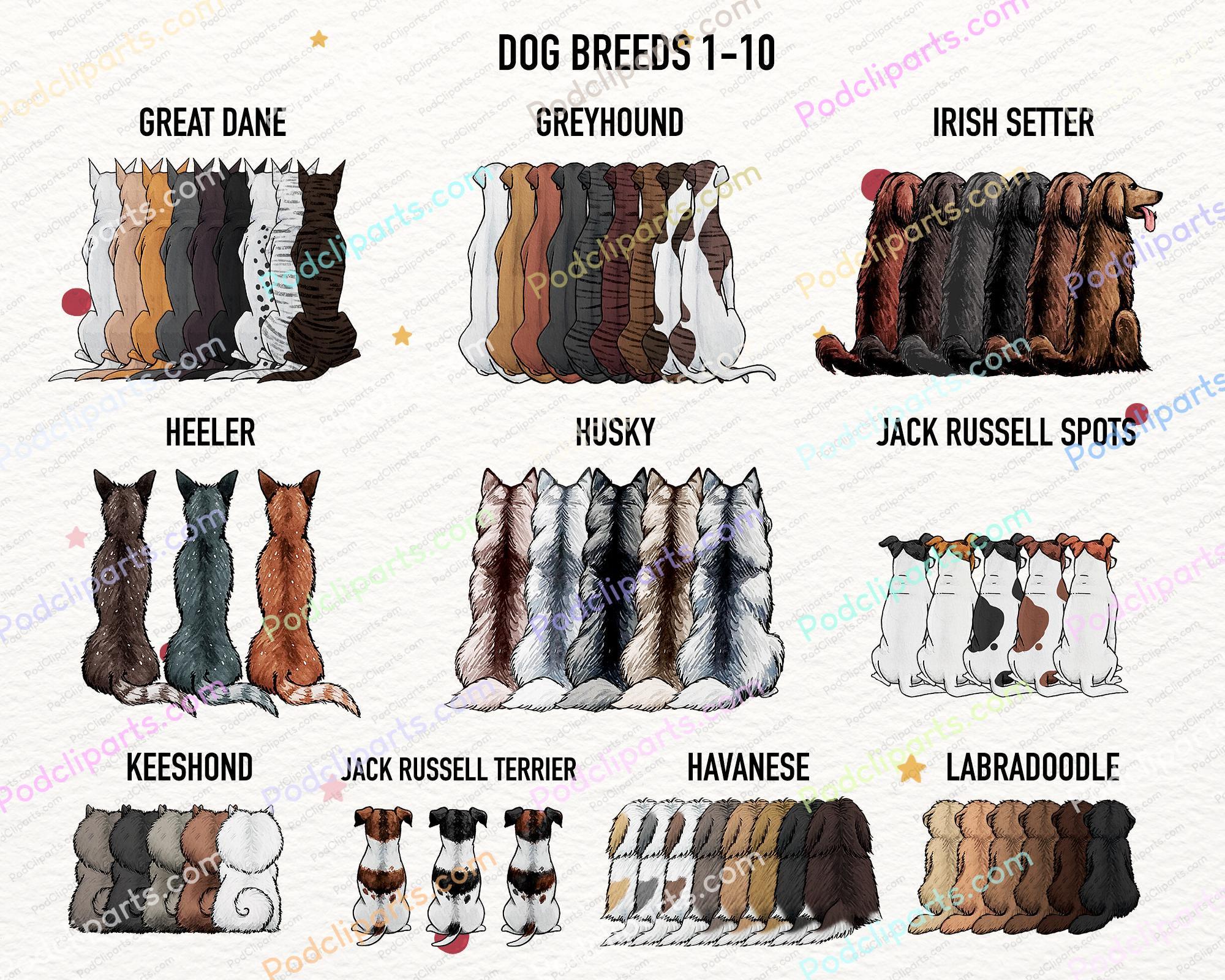 Christmas Family Clipart Dogs PNG, Big Family, Holidays Clipart, Winter ...