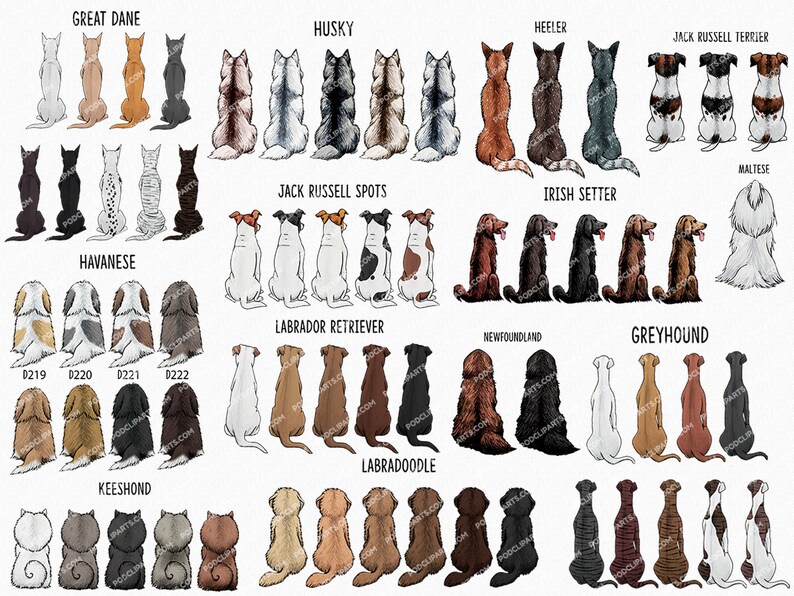 Dogs Back View Watercolor Dogs Clipart Dog Breeds Clipart - Etsy