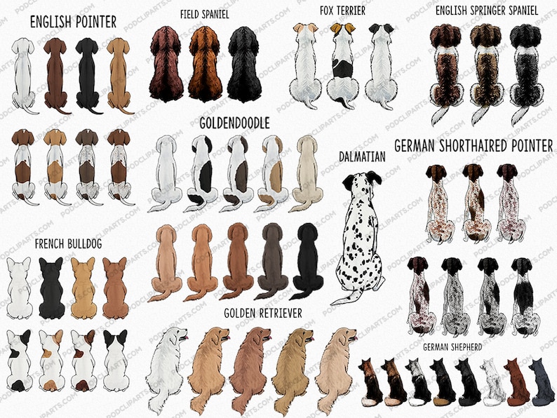Bundle Dog Breeds Clipart, Dog Png, Dog Clipart, Pet Portrait, Back of ...