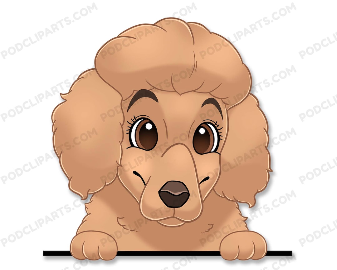 Miniature Poodle Cartoon Dog Portrait, Dog Drawing Png, Dog Clipart ...