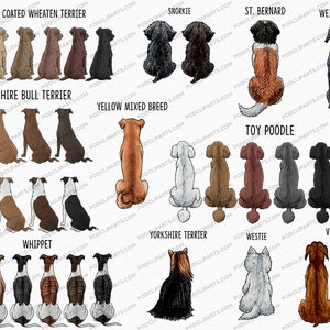 Bundle Dog Breeds Clipart, Dog Png, Dog Clipart, Pet Portrait, Back of ...