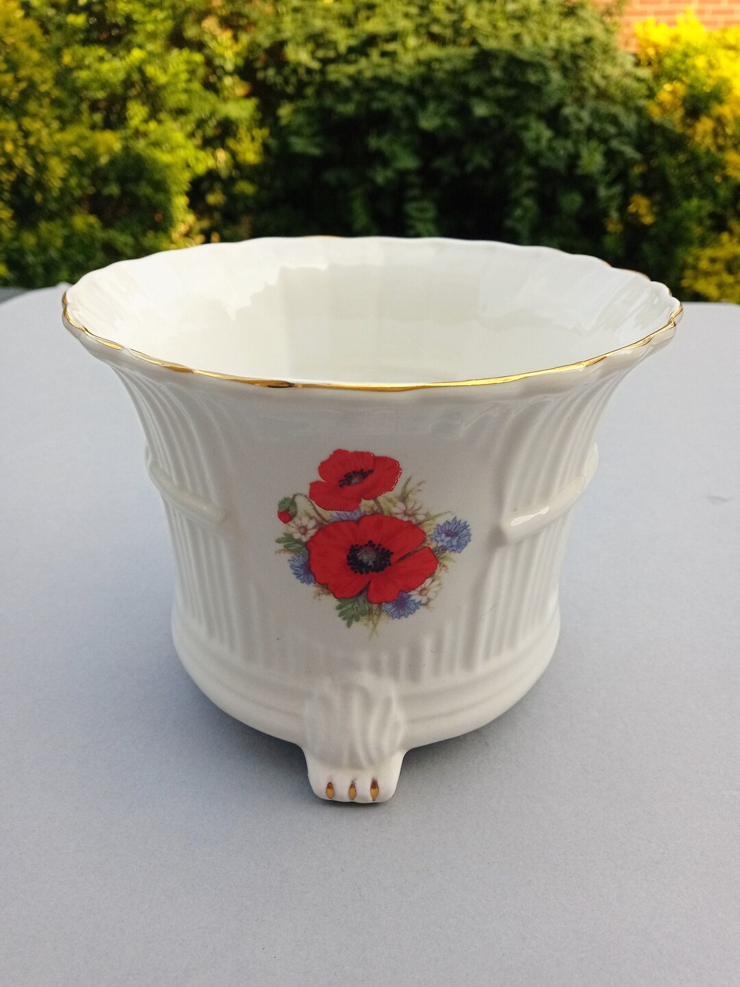 Bone China Flower Pot With Poppies Made in England - Etsy