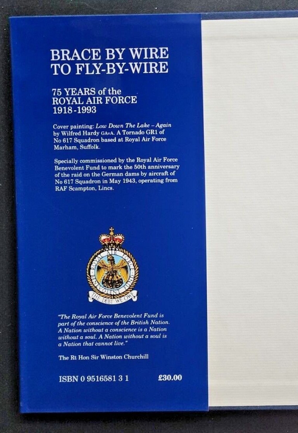 Brace by Wire to Fly by Wire 75 Years of the Royal Air Force | Etsy