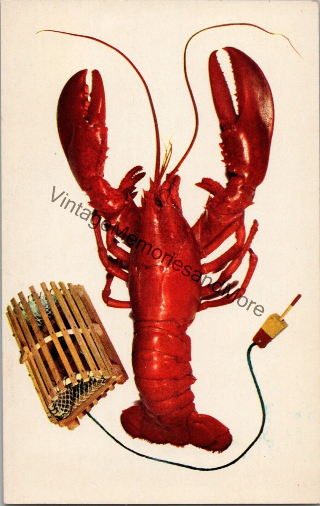 A Maine Lobster & Miniature Model of Lobster Trap Postcard - Etsy