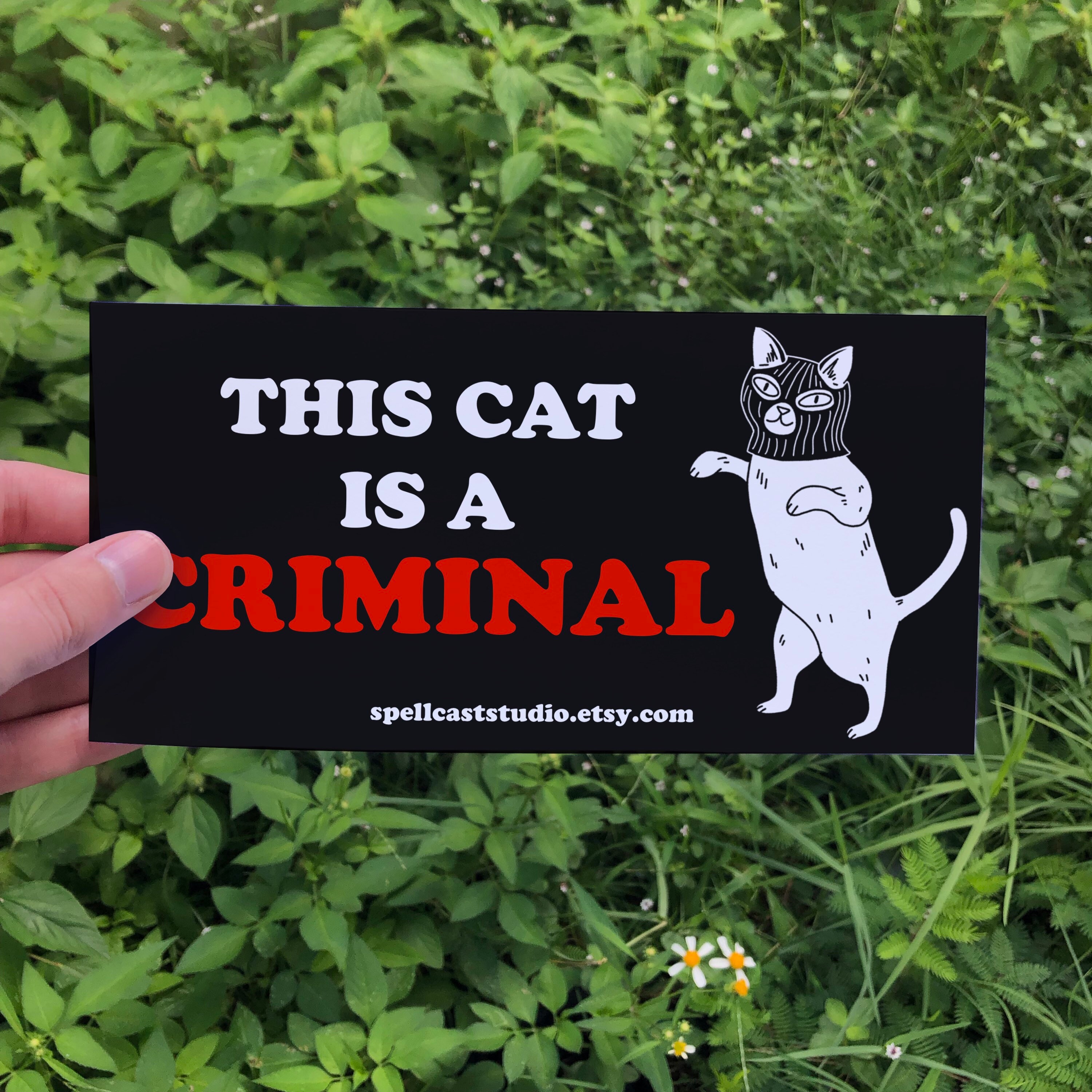 Cat Bumper Sticker Criminal Cat Funny Vinyl Stickers for | Etsy